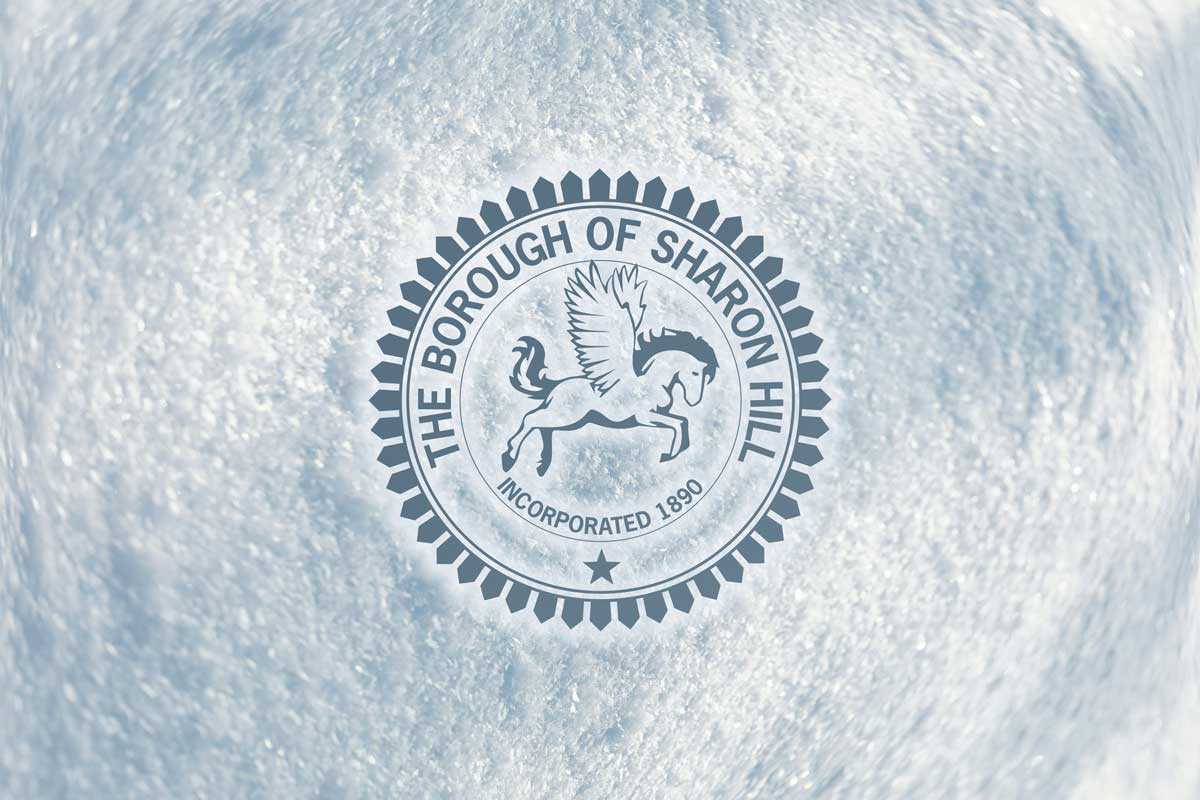 Snowstorm Updates: Modified Borough Hours and Trash Collection - Week ...
